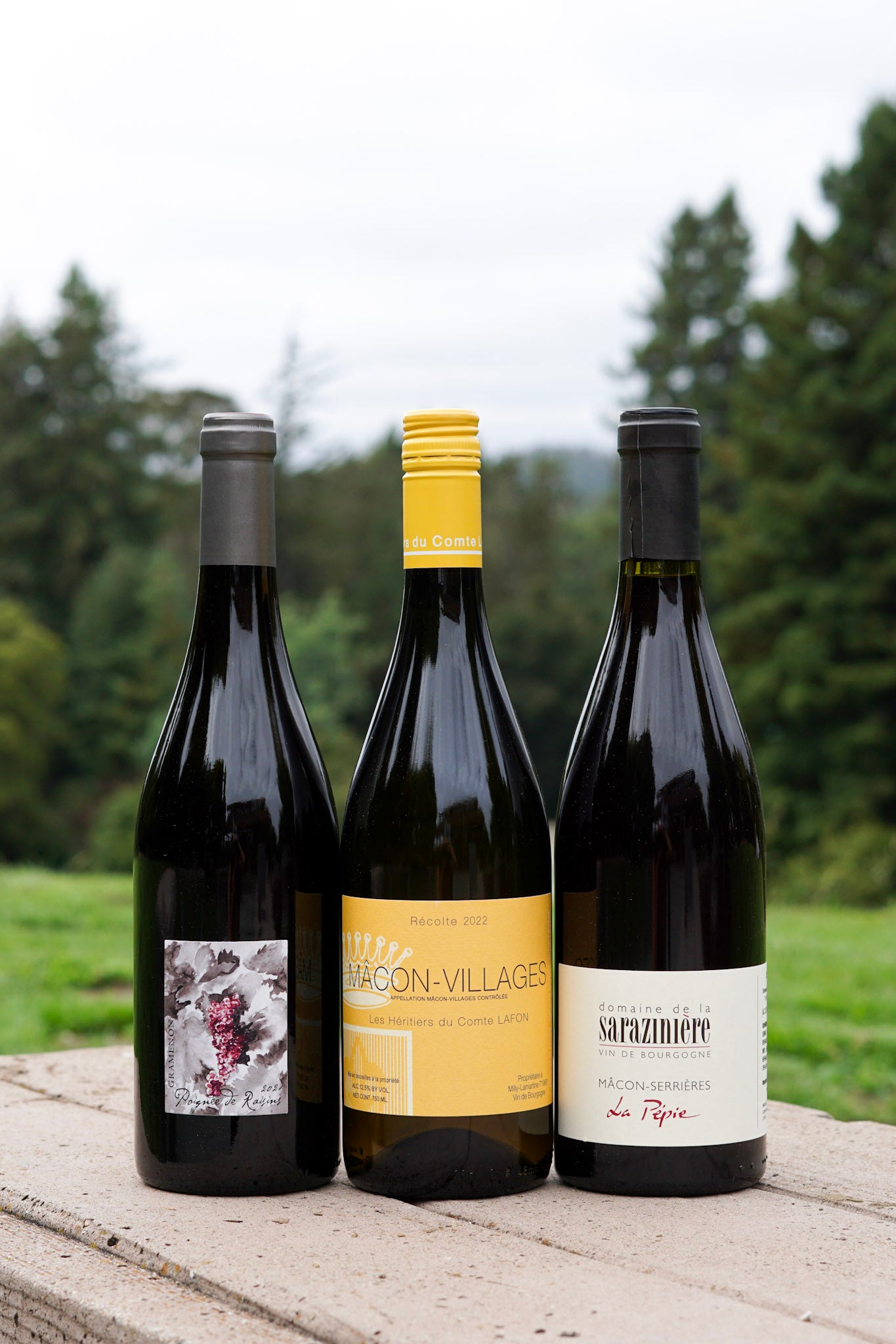 September 2023 Enthusiast Wine Club Deer Park Wine And Spirits