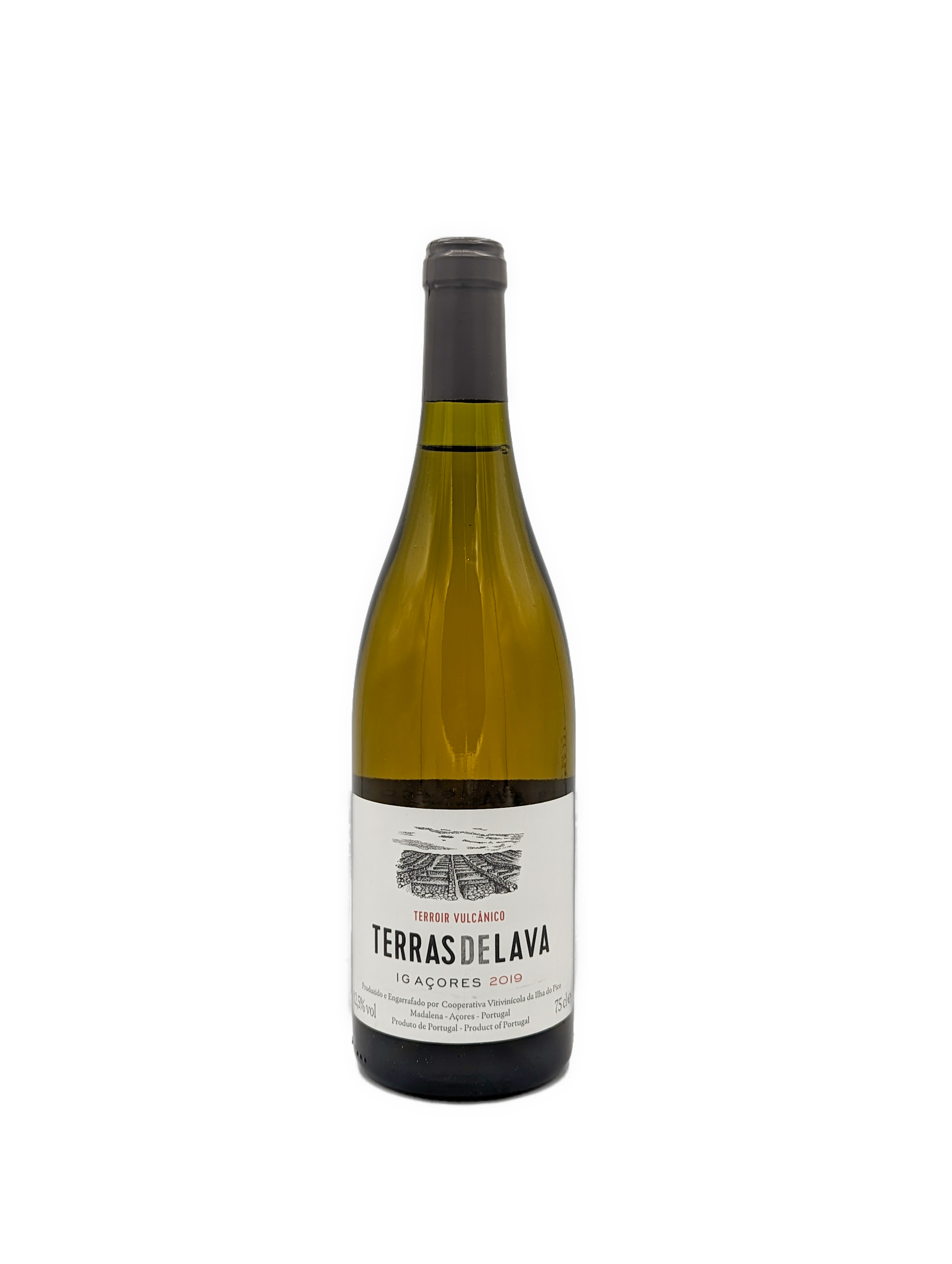 Vitivinicola da Ilha do Pico 2019 Terras de Lava Vinho Branco – Deer ...